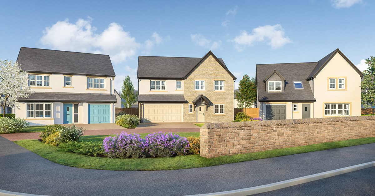 Cat Pushes to Strengthen New Homeowner Rights! - Cat Smith - Cat Smith